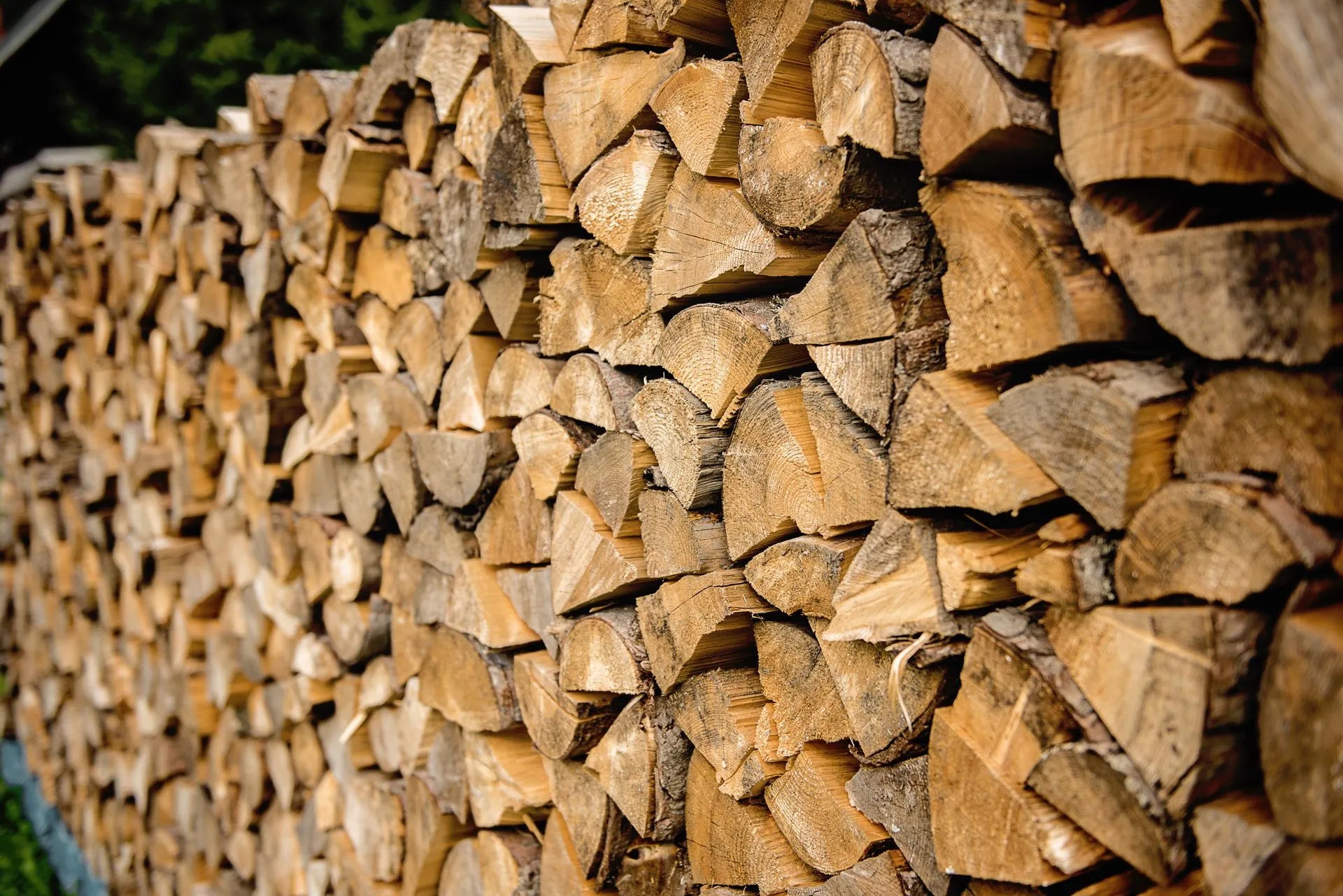 The Best Types of Firewood for Long-lasting Heat – Potterville Sawmill